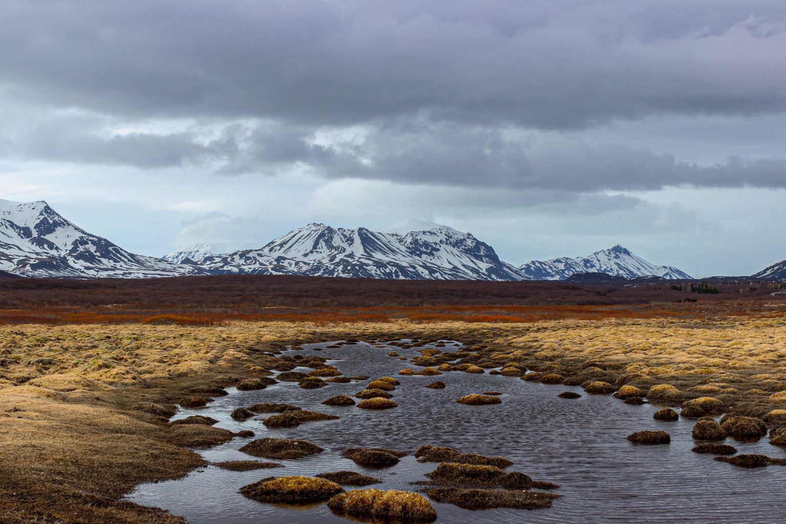 Out on the Arctic Frontier: Exploring Pleistocene Park’s Attempt at ...